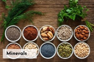 7 components of a balanced diet | Stonebridge