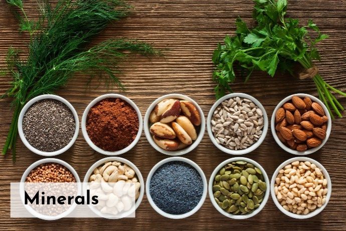 7 components of a balanced diet | Stonebridge