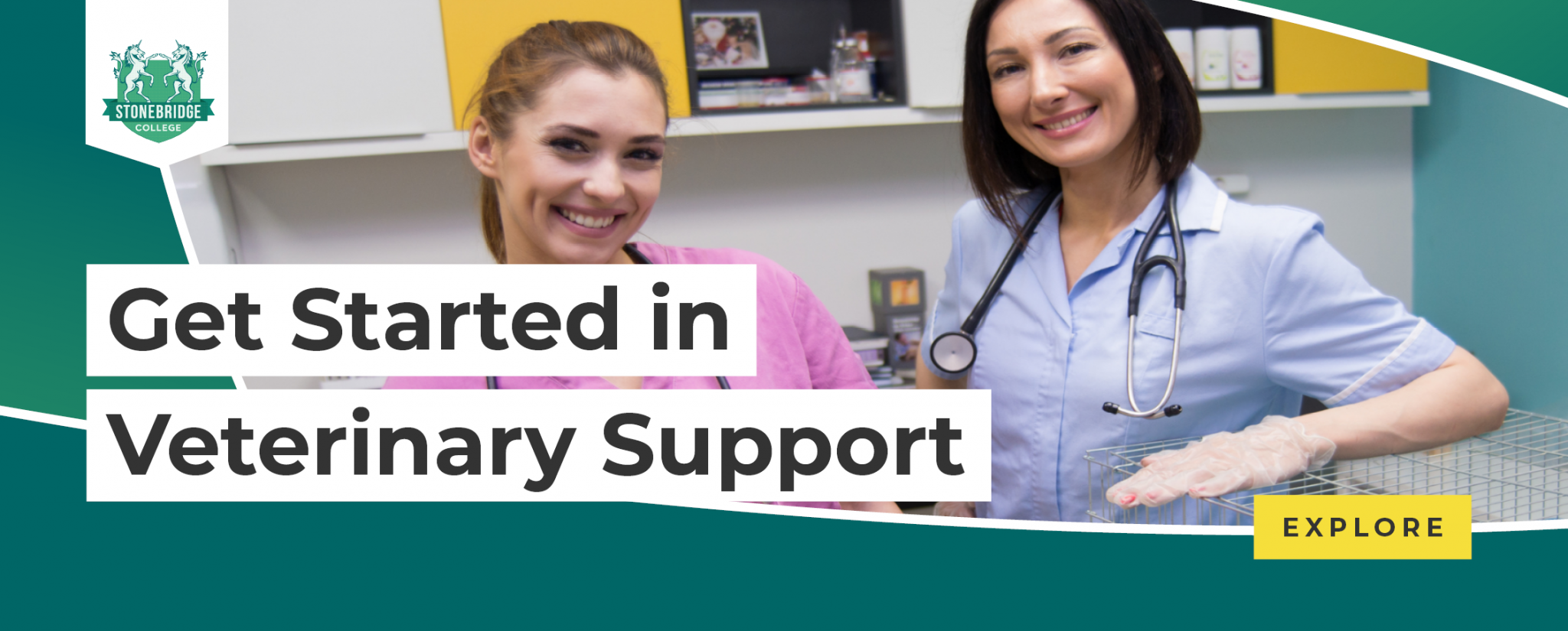 How to Become a Veterinary Nurse | Stonebridge Associated Colleges Blog