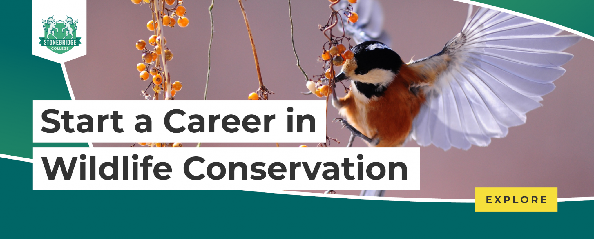A Day in the Life of a Conservation Assistant | Stonebridge Associated ...
