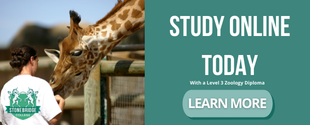 What is it like to Work in a Zoo? | Stonebridge Associated Colleges Blog