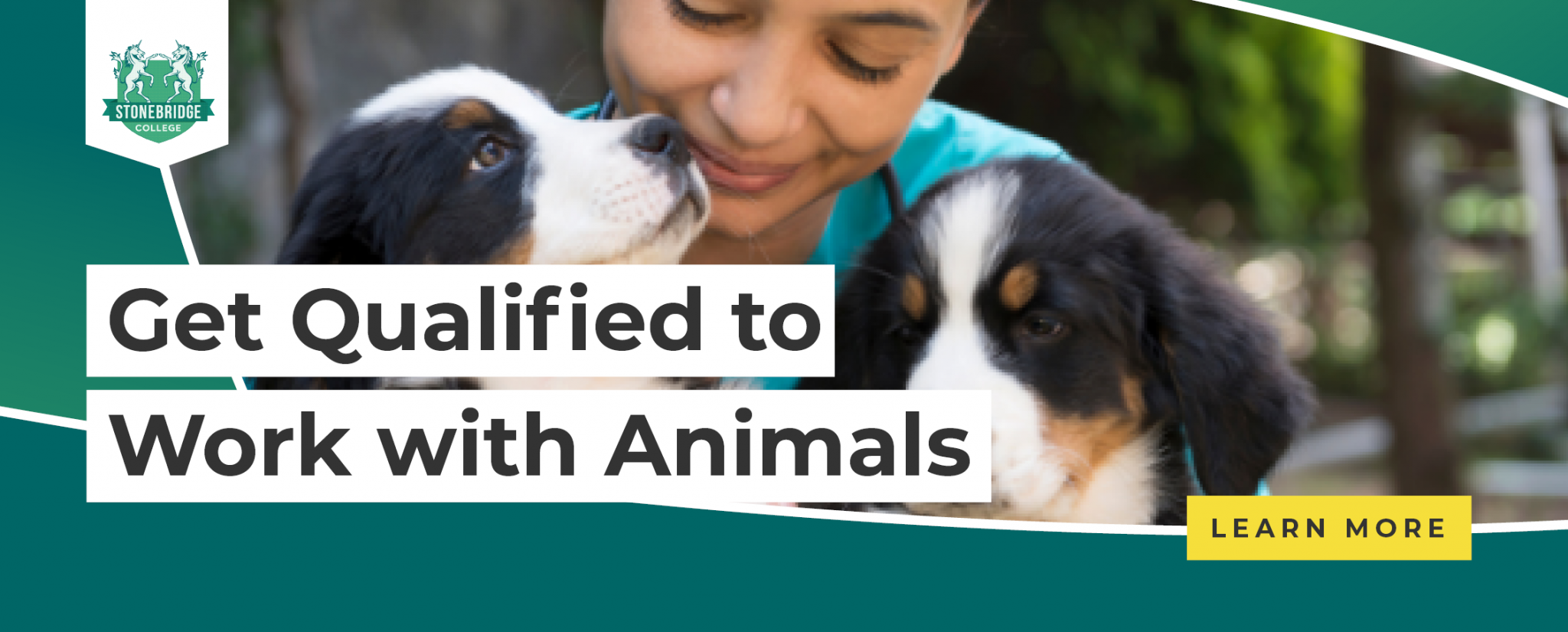 Can you Work with Animals Without a Degree? | Stonebridge Associated ...