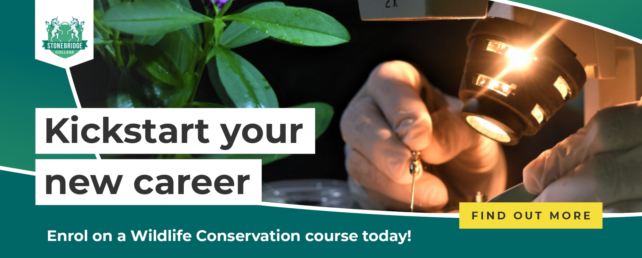 What are some Methods to Conserve Wildlife? | Stonebridge Associated ...