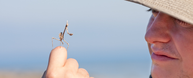 How to Become a Wildlife Biologist? | Stonebridge Associated Colleges Blog