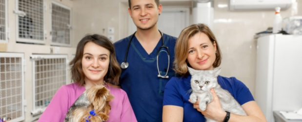 Why Choose Veterinary Science? | Stonebridge Associated Colleges Blog