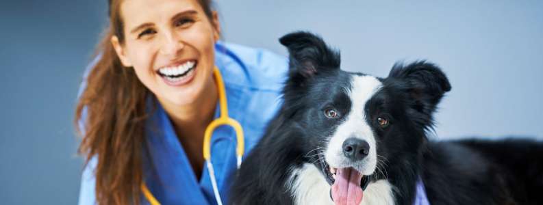 Access To Higher Education Diploma | Social Science Course | Stonebridge